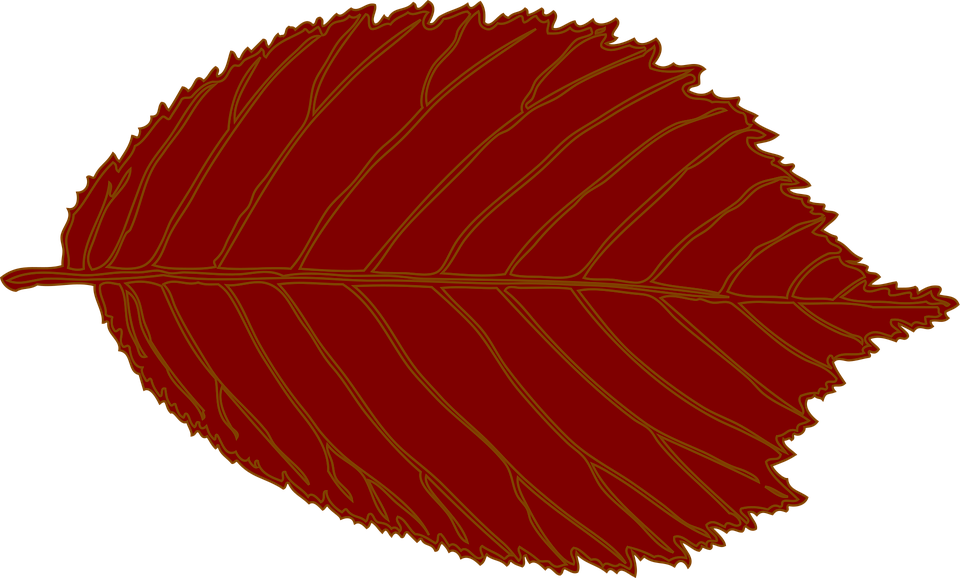 Download Leaf, Oval, Hazelnut. Royalty-Free Vector Graphic - Pixabay