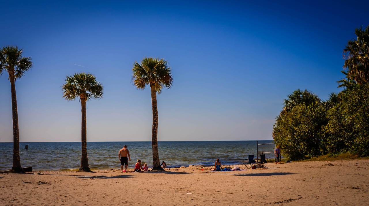 Isla De Pino Florida Playa Luz - Foto gratis en Pixabay - Pixabay