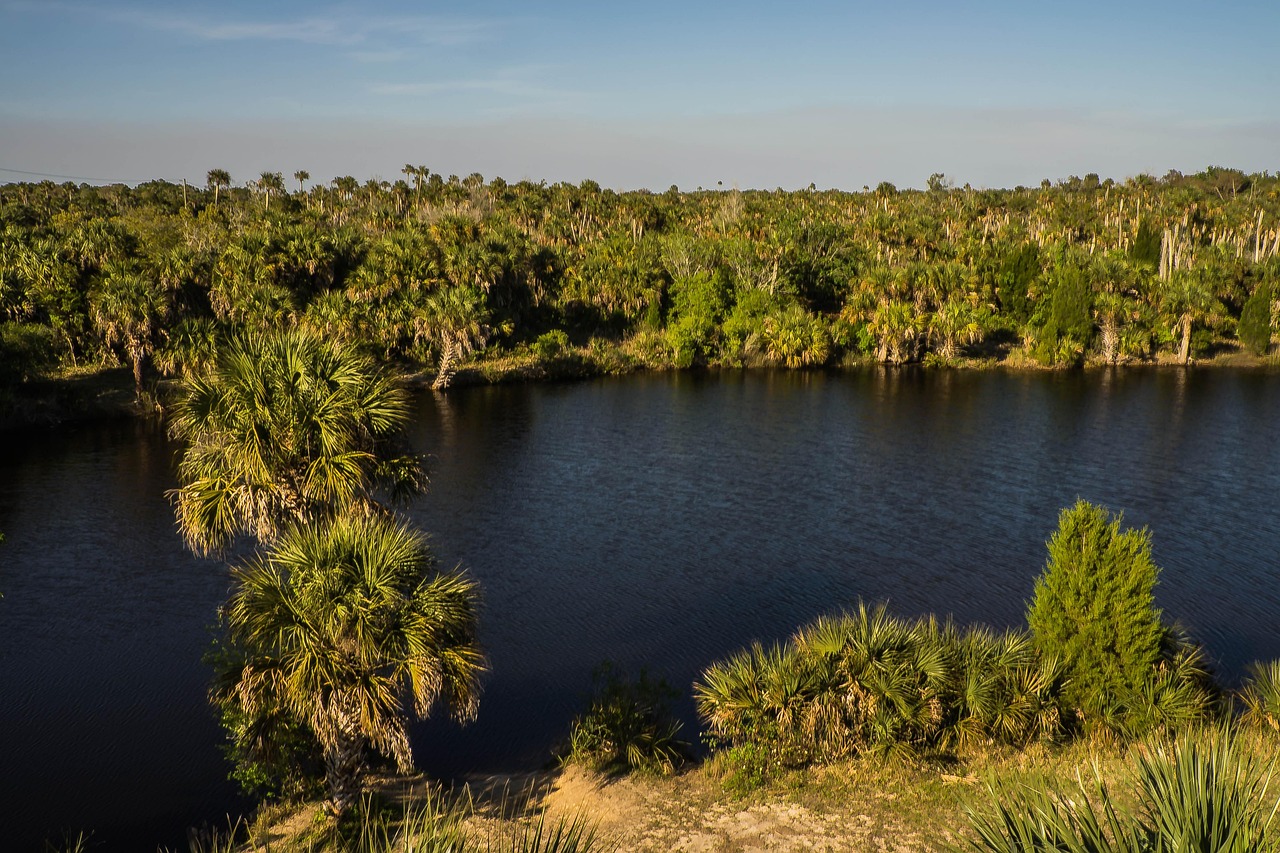 Isla De Pino Agua Tropical - Foto gratis en Pixabay - Pixabay