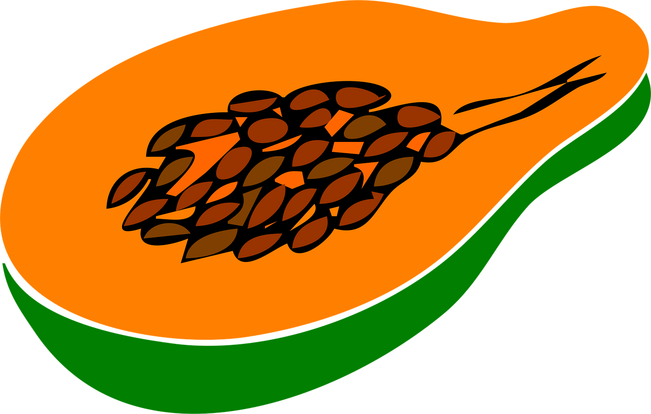 Free Papaya Leaves Vector Art - Download 3,651+ Papaya Leaves Icons ...