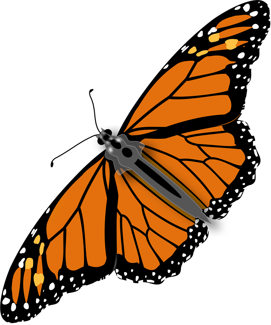 Explore 5,582+ Free Monarch Butterfly Illustrations: Download Now - Pixabay