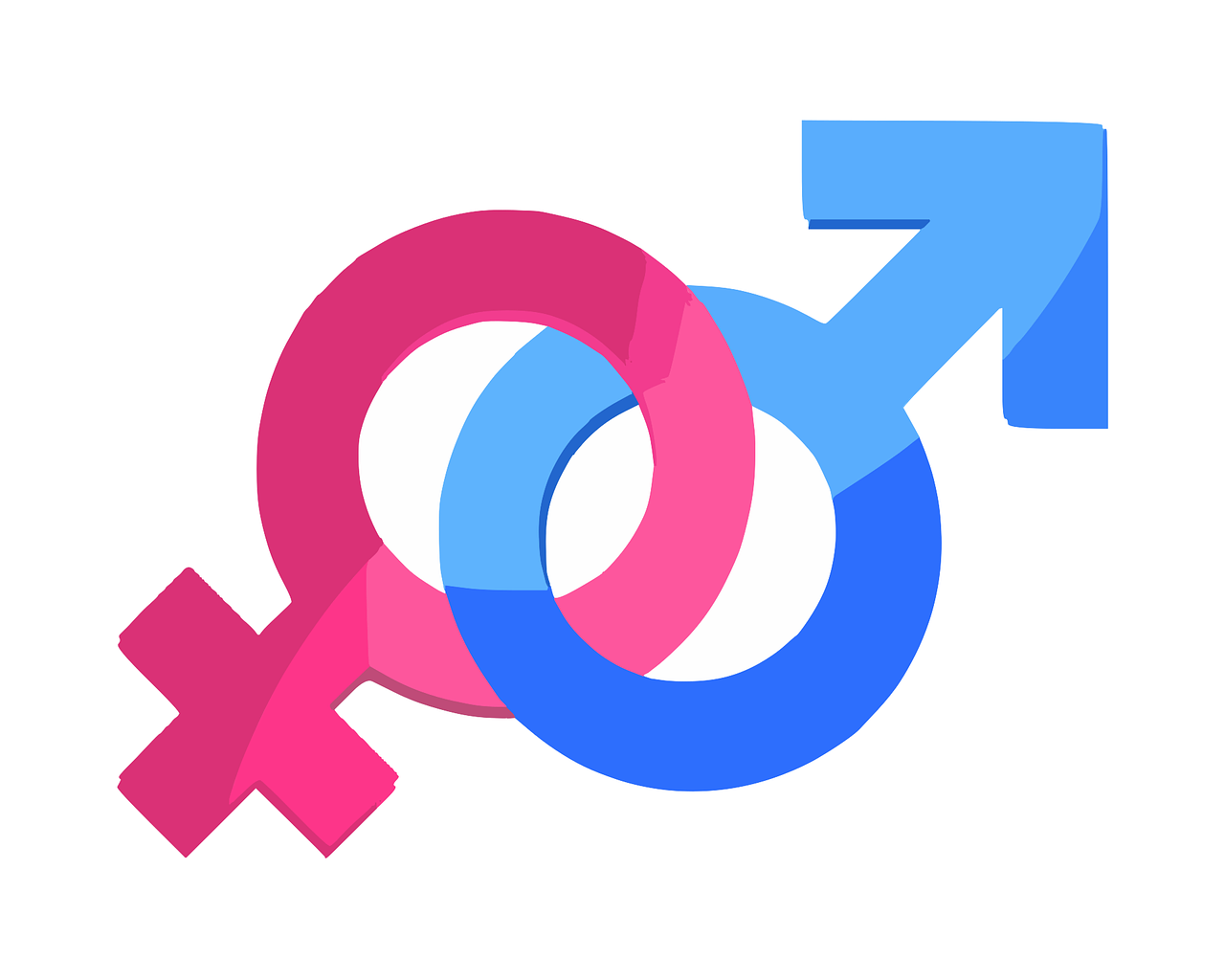 20000 Human Gender Pixabay 20000 Human Gender Pixabay