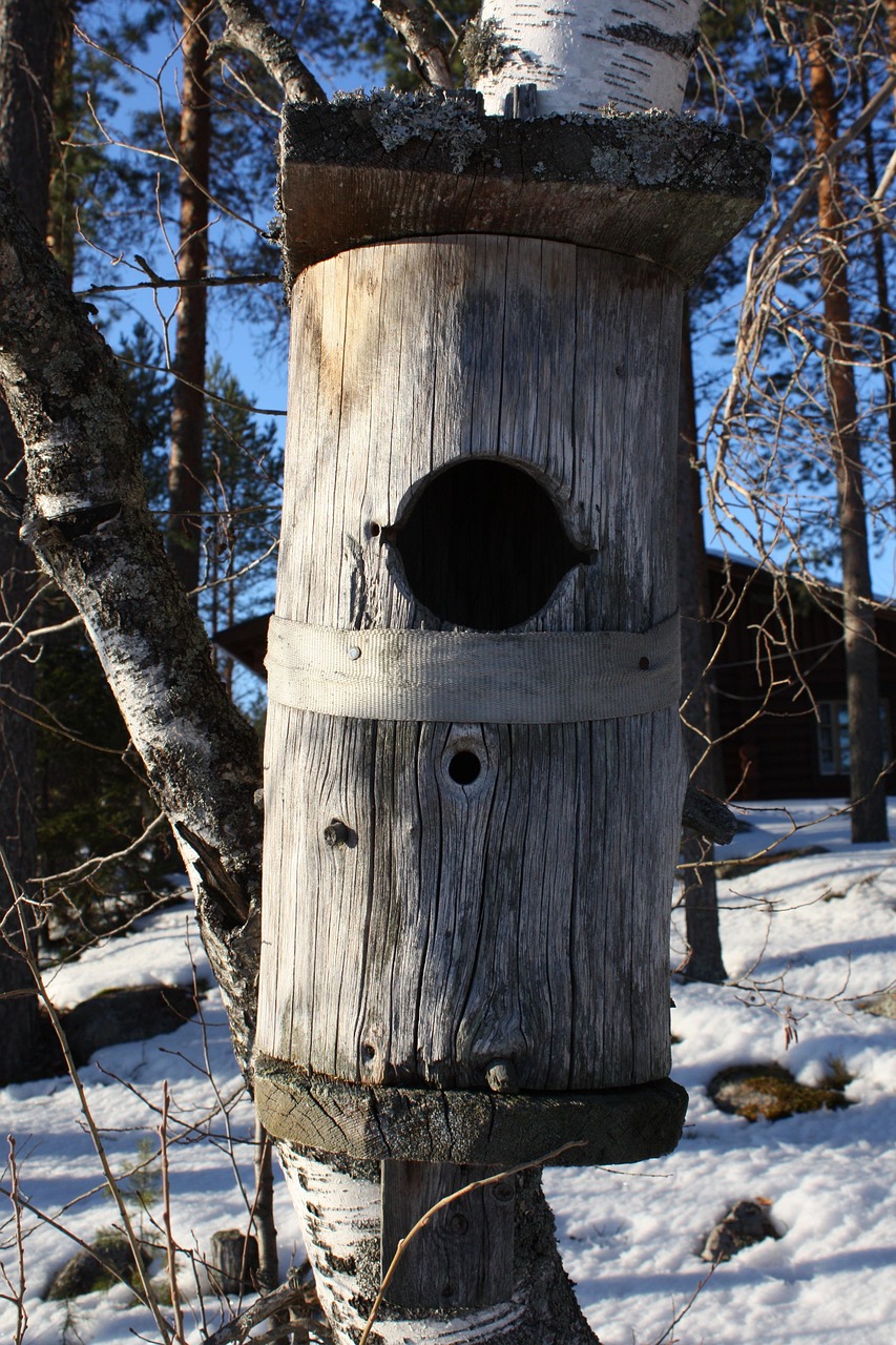 2+ Free Tent Picture & Birdhouse Photos - Pixabay