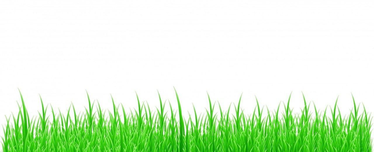 Background Grass Nature - Free image on Pixabay