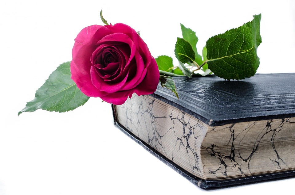 Unduh Gambar Bunga Mawar Dan Buku