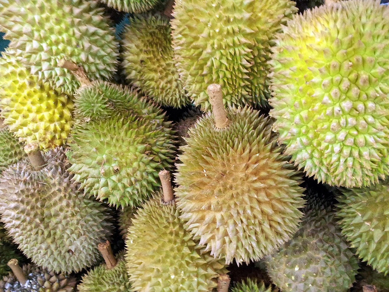 100+ Free Durian' & Durian Fruit Images - Pixabay
