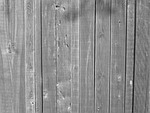 2 Fencing material Synonyms. Similar words for Fencing material.