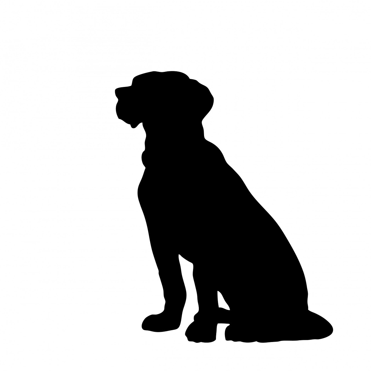 dog-animal-sitting-free-image-on-pixabay