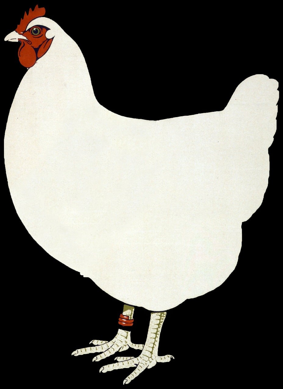 50+ Free Vintage Chicken & Chicken Images - Pixabay