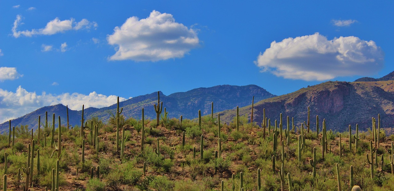 20,000+ Free Arizona Desert & Arizona Images - Pixabay
