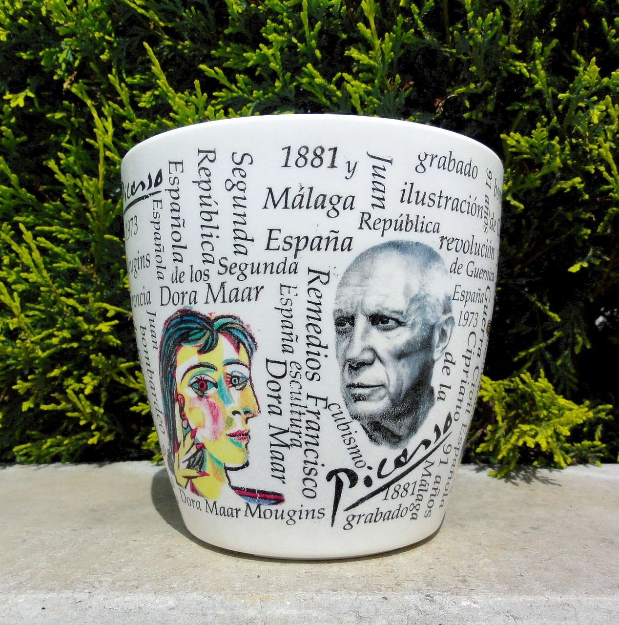 Plus de 50 photos gratuites de Pablo Picasso et de Picasso - Pixabay