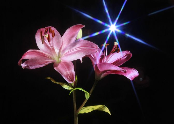 100+ Free Starlight & Night Photos