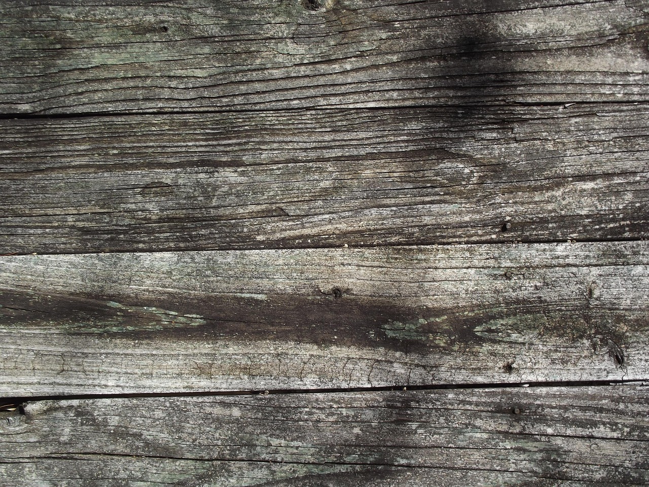 200+ Free Gray Wood Texture & Wood Images - Pixabay