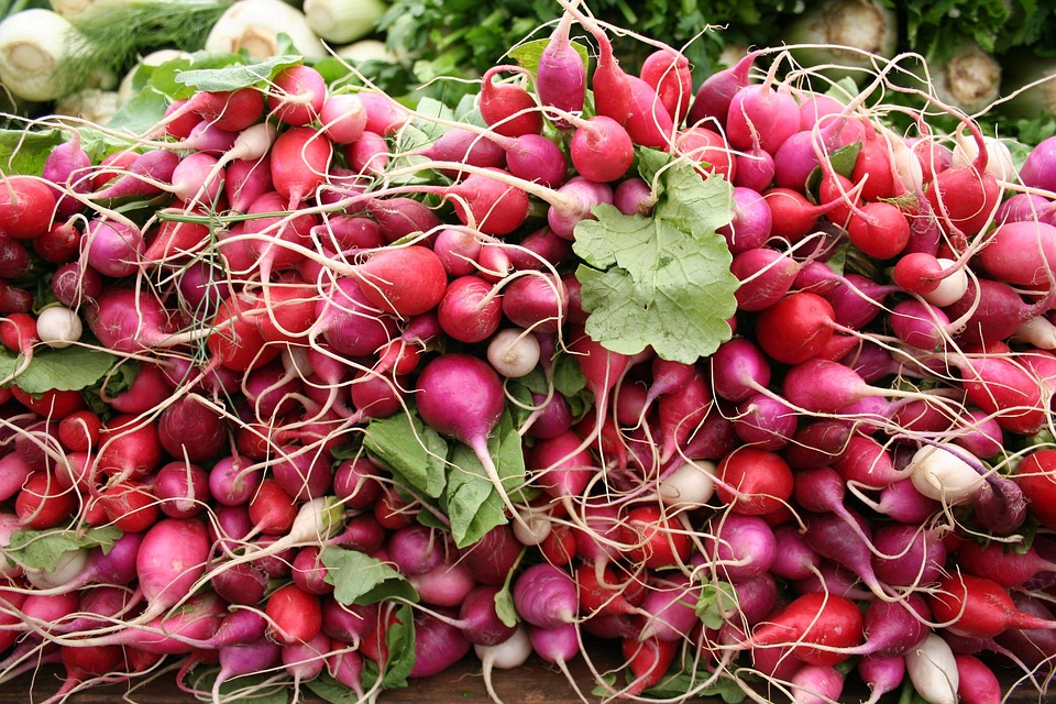 Radishes Radish Vegetables Farmers - Free photo on Pixabay