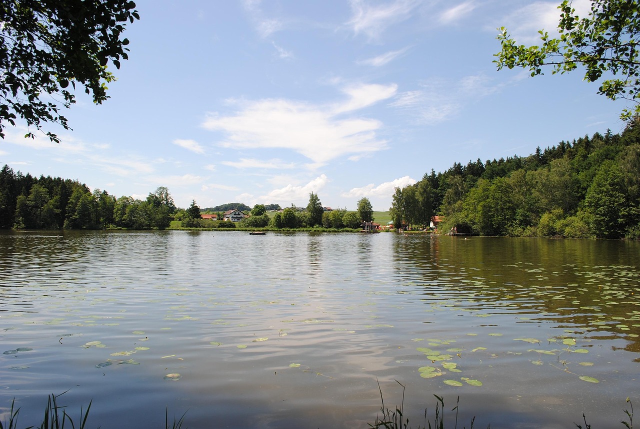 Schnaitsee Oberbayern Badesee - Kostenloses Foto auf Pixabay