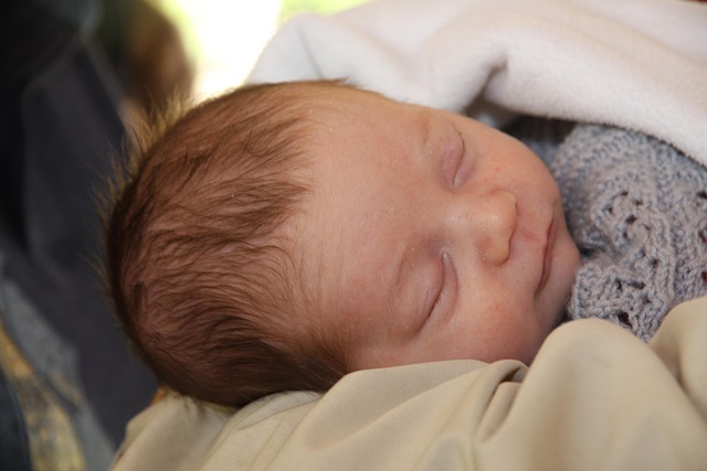 Baby Infant Portrait - Free photo on Pixabay