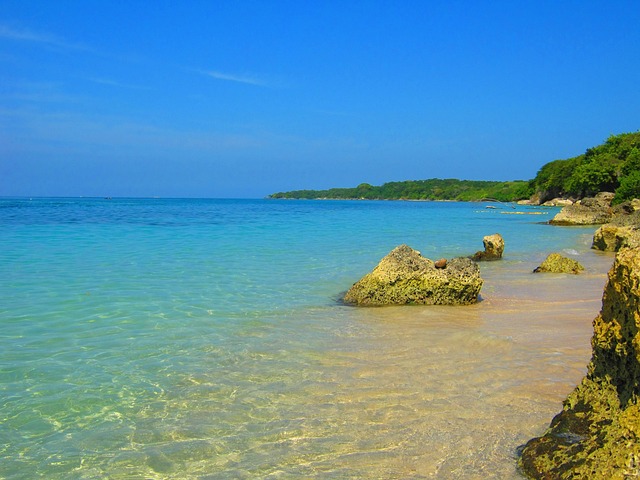 Praia Azul Recife - Foto gratuita no Pixabay - Pixabay