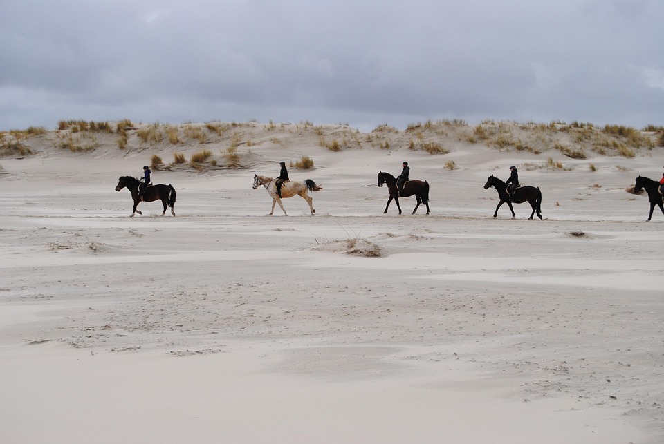 Nordsee Reiten Reiter - Kostenloses Foto auf Pixabay