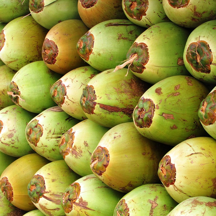 Coconuts Fruit Coco - Free photo on Pixabay