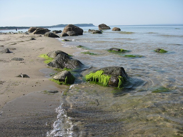 Mer Baltique Plage La Nature - Photo gratuite sur Pixabay - Pixabay