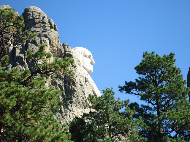 3,000+ Free George Washington & Mount Rushmore Images - Pixabay