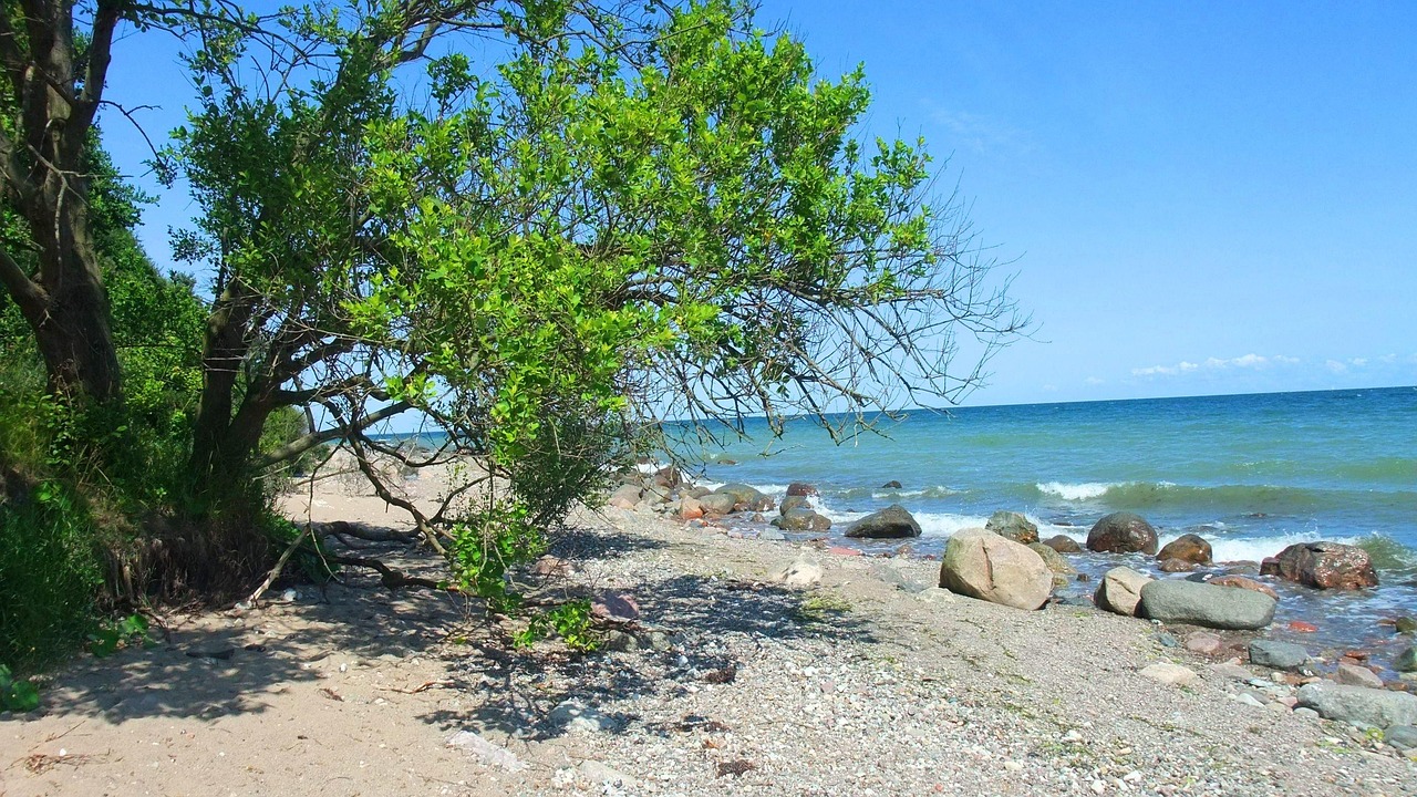 Mer Baltique Plage Côte - Photo gratuite sur Pixabay - Pixabay