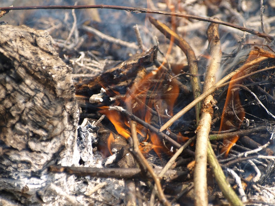 Fire Embers Ash - Free photo on Pixabay - Pixabay