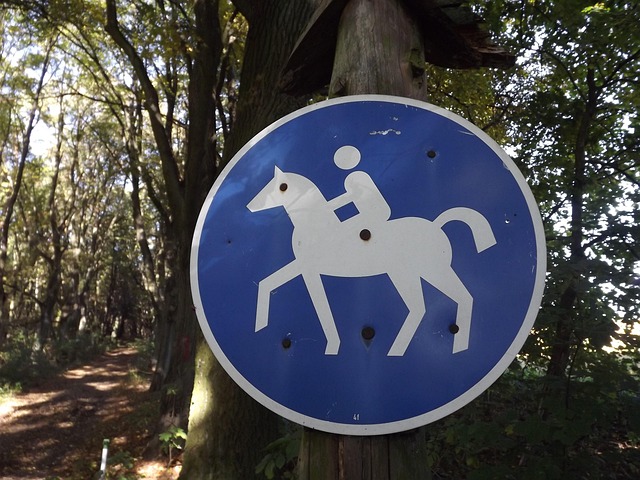 Riding Path Horse - Free photo on Pixabay - Pixabay