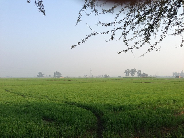 Green Ground Grassland Landscape - Free photo on Pixabay - Pixabay