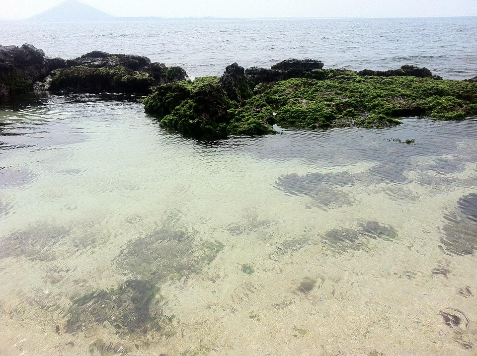 Jeju Island Ocean Udo - Free photo on Pixabay - Pixabay