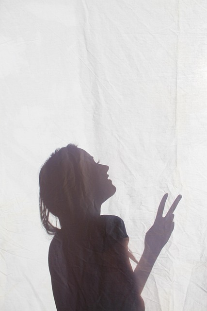 Silhouette Girl Shadow - Free photo on Pixabay