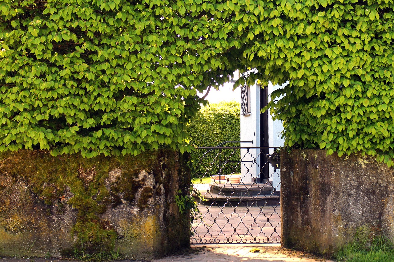 Entrada Portón De La Casa - Foto gratis en Pixabay - Pixabay