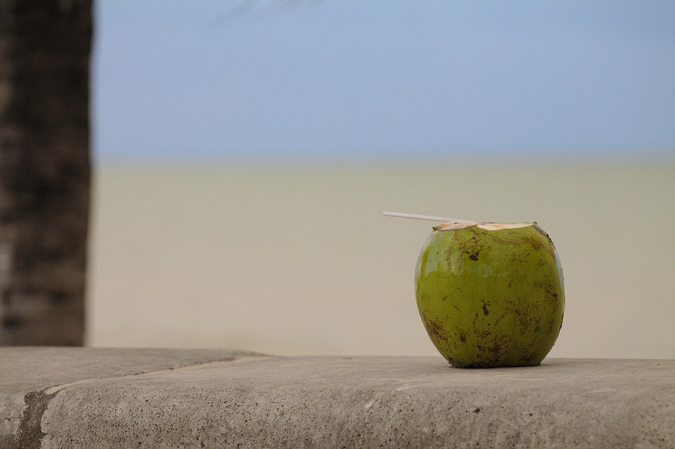 Coco Praia Descanso - Foto gratuita no Pixabay