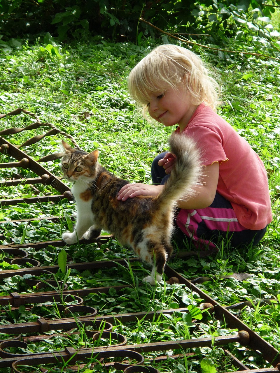 Mädchen Kind Katze - Kostenloses Foto auf Pixabay - Pixabay