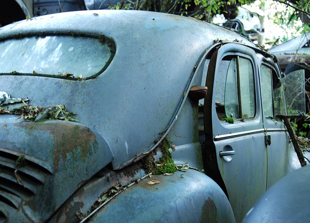 Car Cemetery Old Weathered - Free photo on Pixabay - Pixabay