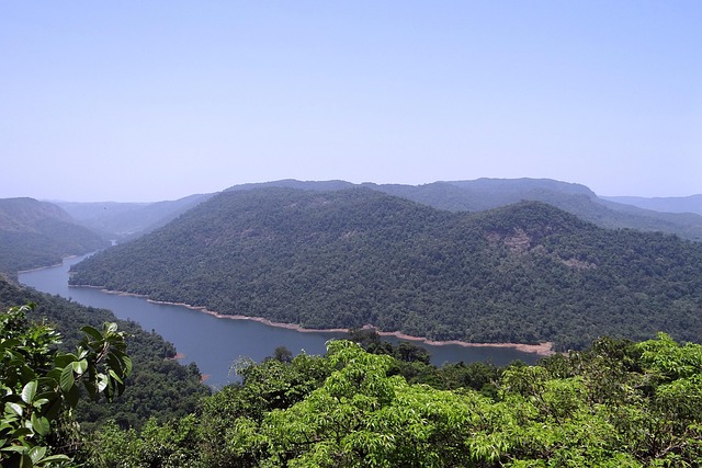 Western Ghats Sharavati River - Free photo on Pixabay