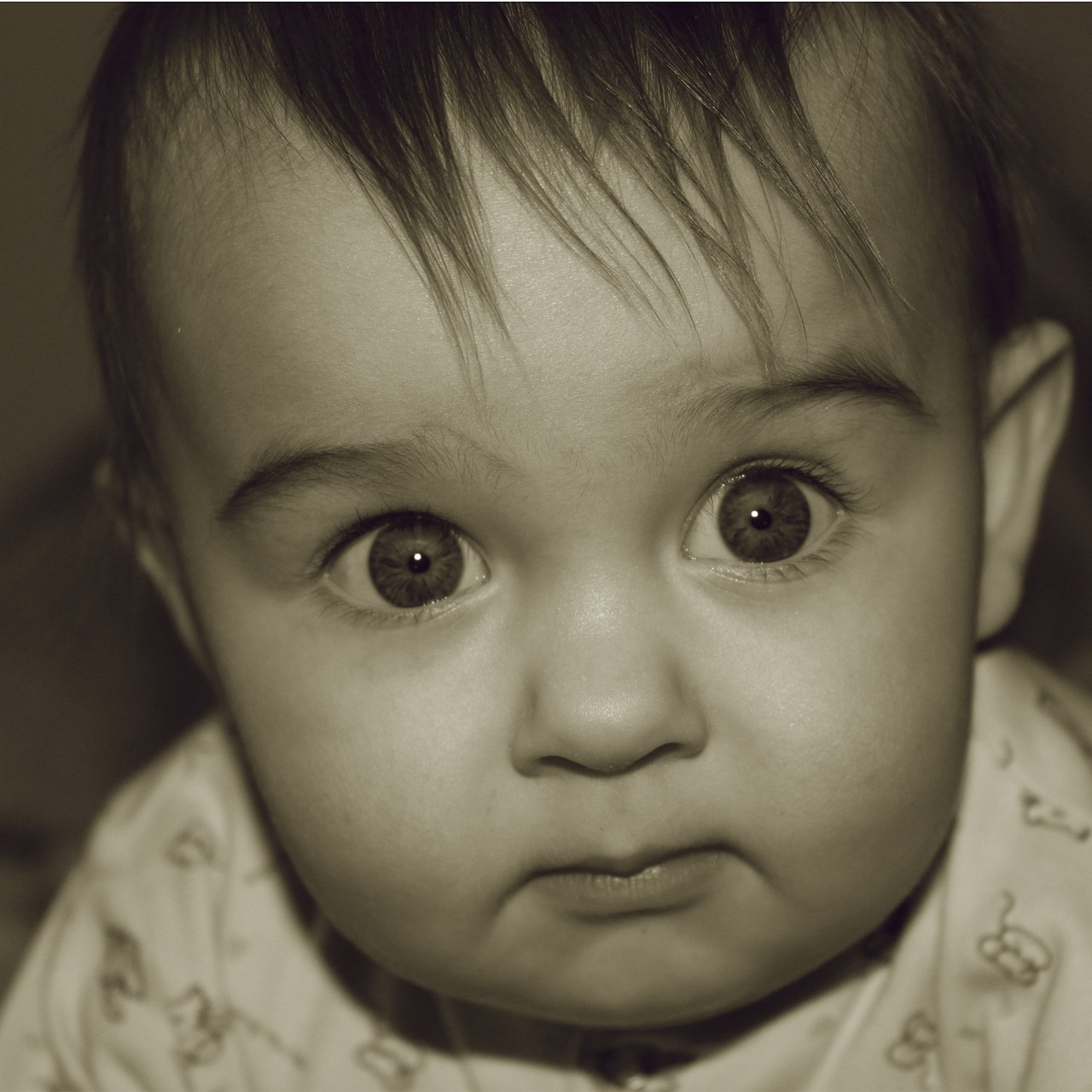 100+ Free Slider & Baby Images - Pixabay
