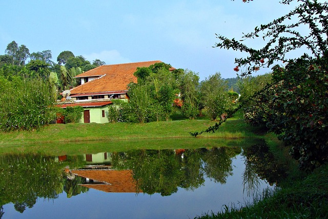 10+ Free Coorg India & Coorg Images - Pixabay