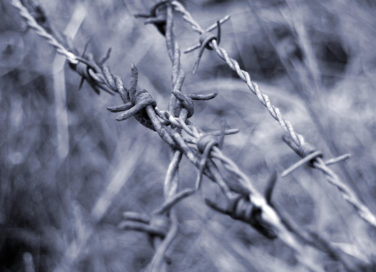 Barbed Wire Close Up Wiring - Free photo on Pixabay - Pixabay