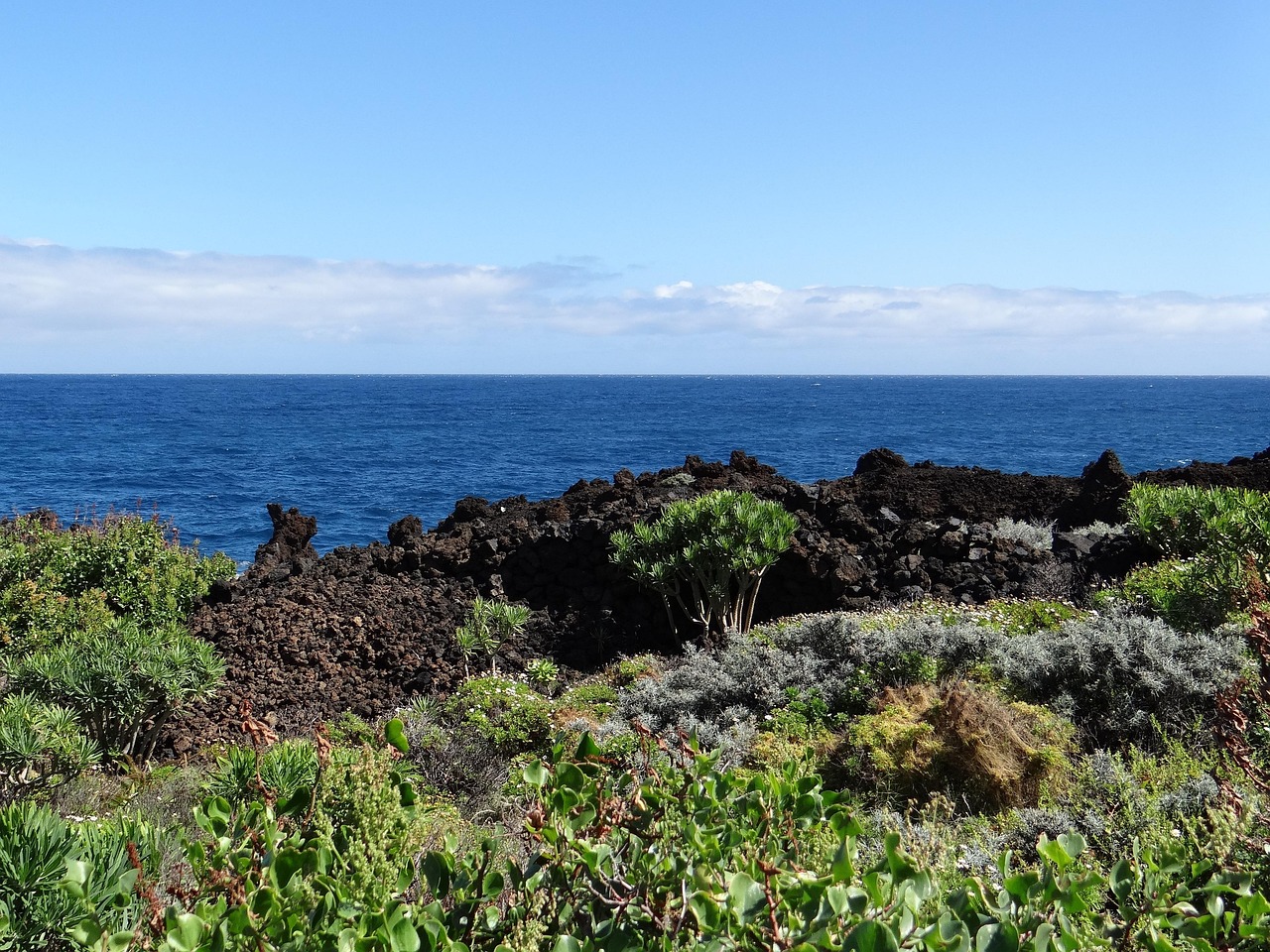 La Palma Canarian Island Cliffs - Free photo on Pixabay - Pixabay