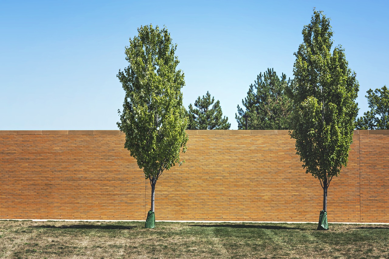 Árboles Parque Pared De - Foto gratis en Pixabay - Pixabay