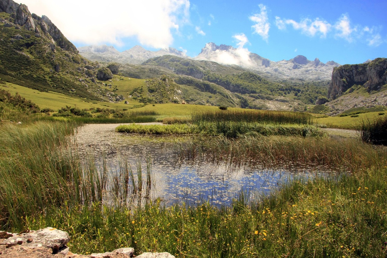 Lago Panorama Verde - Foto gratuita no Pixabay - Pixabay