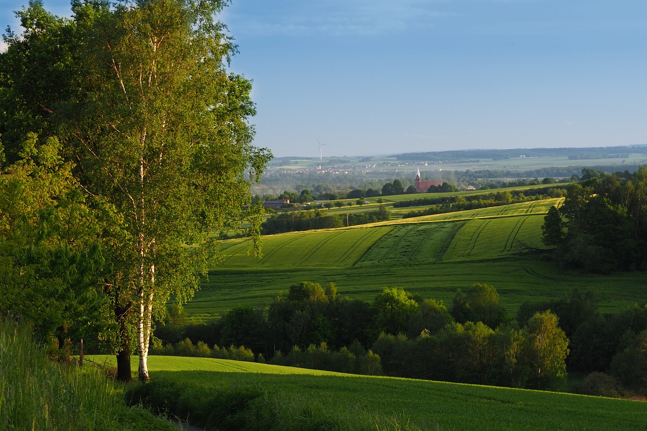 Paysage Vert Le Printemps - Photo gratuite sur Pixabay - Pixabay