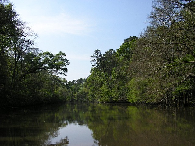 Calcasieu River Water - Free photo on Pixabay - Pixabay