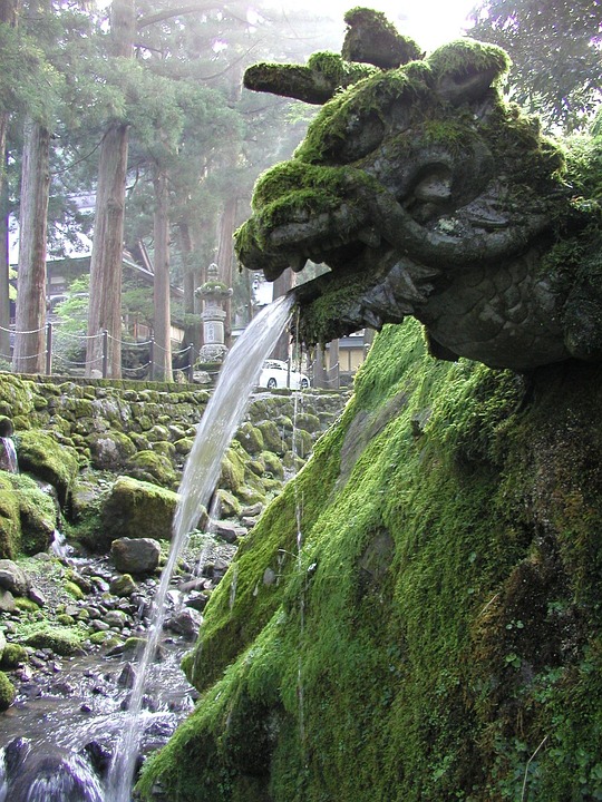 Japan Zen Dragon - Free photo on Pixabay - Pixabay