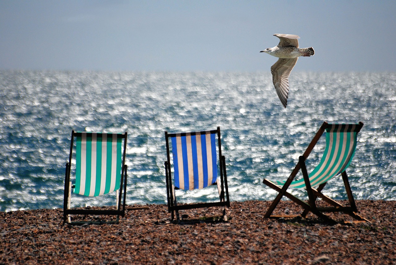 Plus De 200 000 Images De Plage Et Bord De Mer Et De Plage Pixabay Plus De 200 000 Images De Plage Et Bord De Mer Et De Plage Pixabay