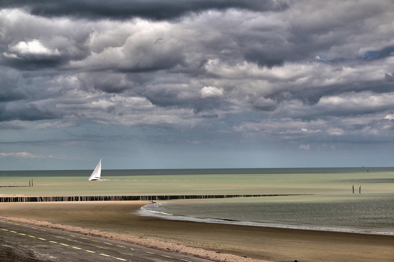 600+ Free Estuaries & Estuary Images - Pixabay