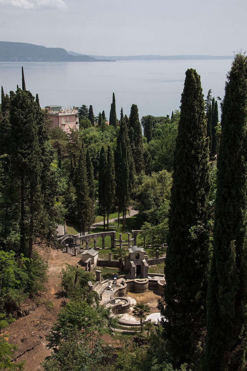 20+ Free Mediterranean Cypress Tree & Cypress Images - Pixabay