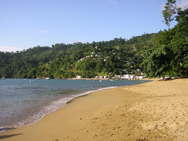 Tobago Country Sand - Free photo on Pixabay - Pixabay
