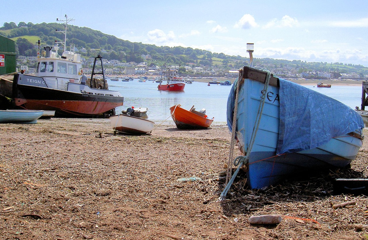 Barcos Paseo En Barco Agua - Foto gratis en Pixabay - Pixabay